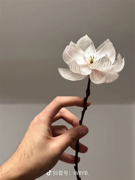 这花自带蒜香 涨姿势