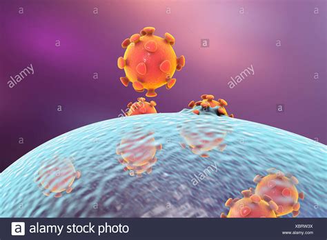 Viral Replication High Resolution Stock Photography And Images Alamy