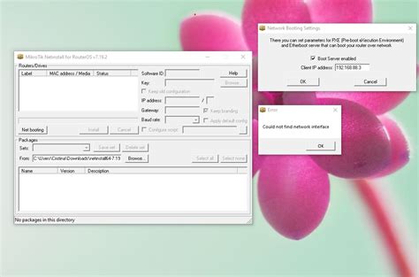 could not find network interface when trying to use netinstall