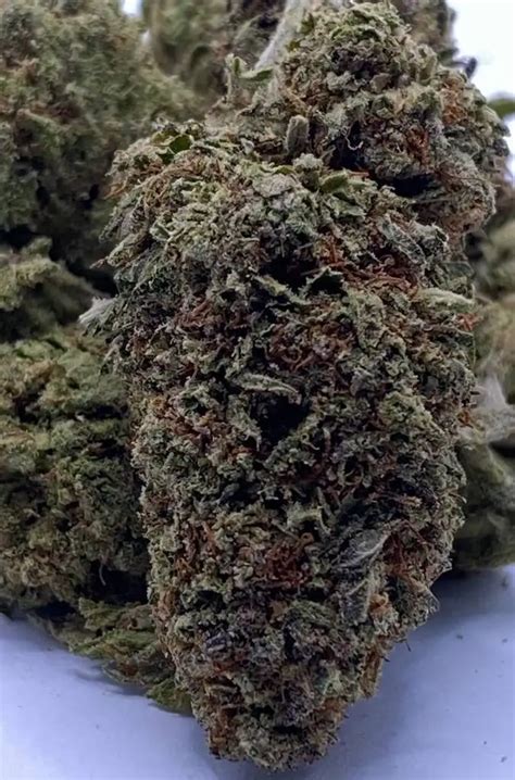 Blueberry Poundcake Strain Review