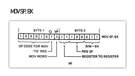 assembly language programming introduction pptx