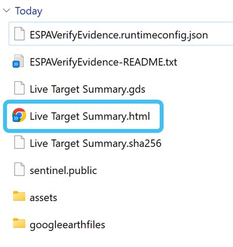 Viewing A Live Target Summary Html Report