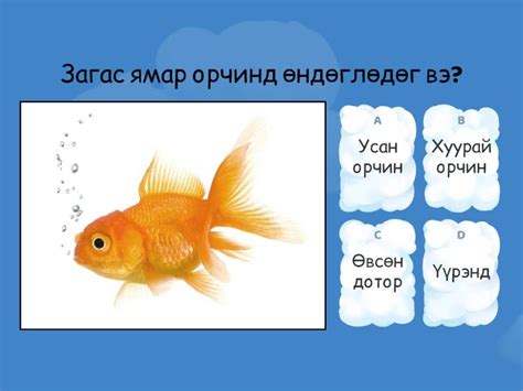 Хүн ба байгаль 5 р анги Бататгал дасгал Quiz