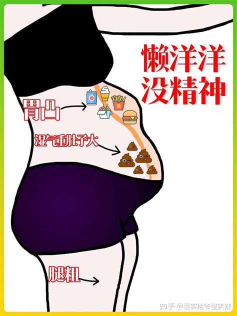 湿气太重是什么表现?怎么改善重度湿气导致的肥胖? 知乎 湿气太重是什么表现?怎么改善重度湿气导致的肥胖? 知乎