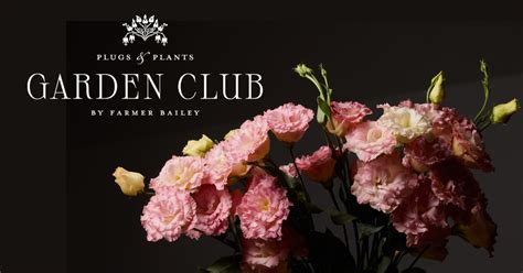 Bupleurum Growing Guide