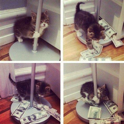 Stripper Pussy Myconfinedspace