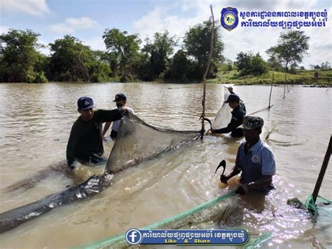 នគរបាលចុះបង្រ្កាបបទល្មើសនេសាទជំនួសជំនាញខណ្ឌរដ្ឋបាលជលផលត្បូងឃ្មុំ សារព័ត៌មាន នគរវត្ត