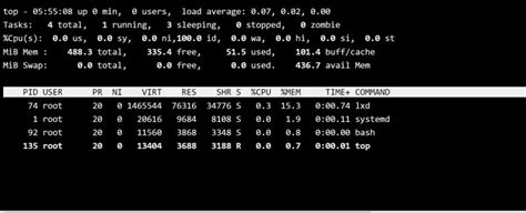 Freecodecamp On Linkedin How To View Your Linux Processes