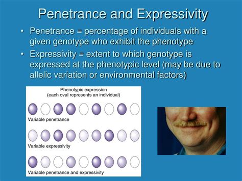 Ppt Additional Genetic Patterns Powerpoint Presentation Free