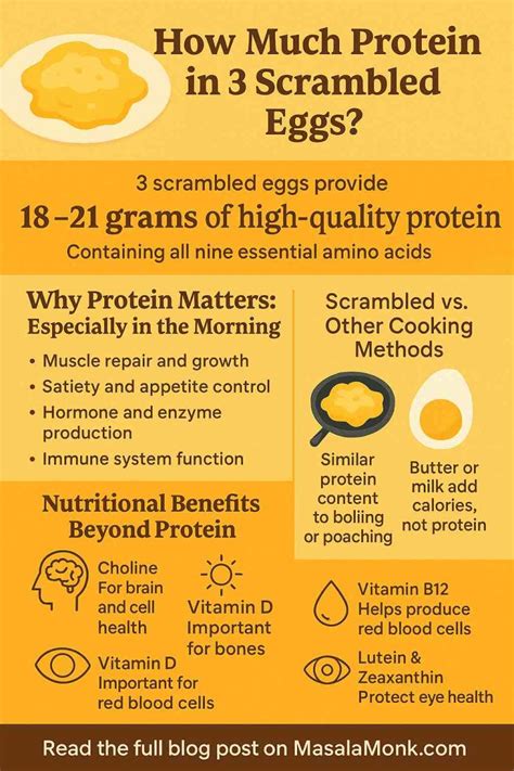 Protein In 3 Scrambled Eggs Nutritional Insights And Benefits Masala