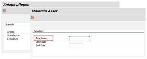 Streamlining Language Testing With Saps 1q Language Ludecke