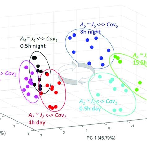 A Pca Plot Showing The Metabolomic Trajectory Of A Diurnal Cycle Of