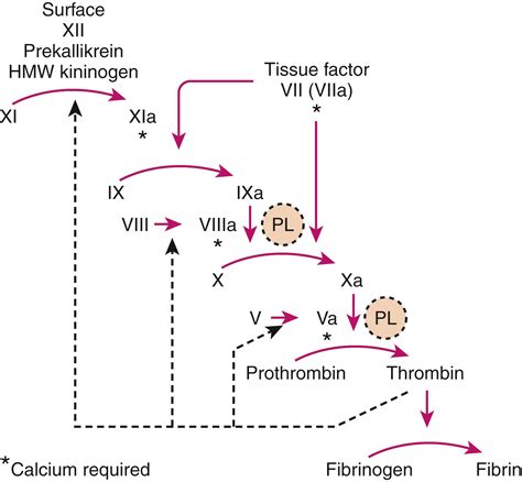 Intravenous Thrombolysis Clinical Tree