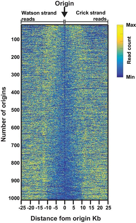Figures And Data In Spatiotemporal Coupling And Decoupling Of Gene