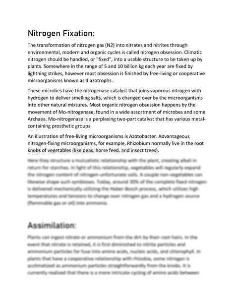 Solution Nitrogen Cycle Studypool Solution Nitrogen Cycle Studypool