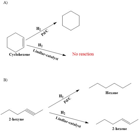 Organic Chemistry 9781260475678 Exercise 11 Quizlet