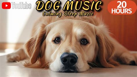 강아지가 좋아하는 음악💖🦮강아지 편안한 수면 음악 20시간🐶🐾반려견 스트레스를 줄여주는 음악🎵⭐혼자남은 강아지의 분리불안 해소 음악 🐶💖출근할때 외출할때 틀어주세요 By