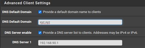 Dns Resolver Problem After OpenVPN Connected Netgate Forum