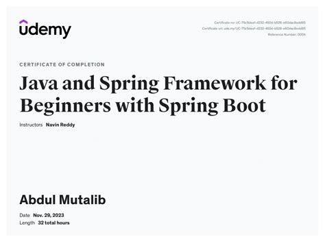 Java Springframework Javadeveloper Careertransition Udemycourse