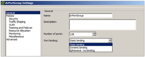 vmware port binding distributed virtual switch vinception
