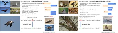 Examples On Interpretability And Interactivity 1 The Upper Half Of Download Scientific