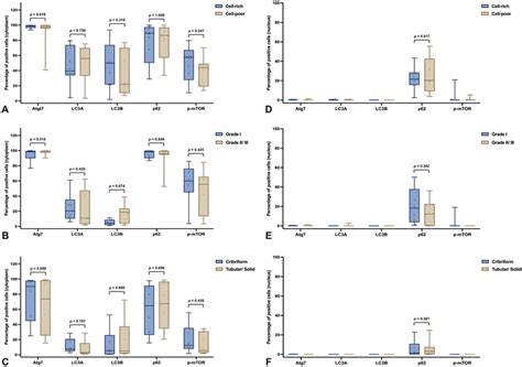 Blox Plot Charts Illustrating The Percentages Of Cytoplasmic Ac And