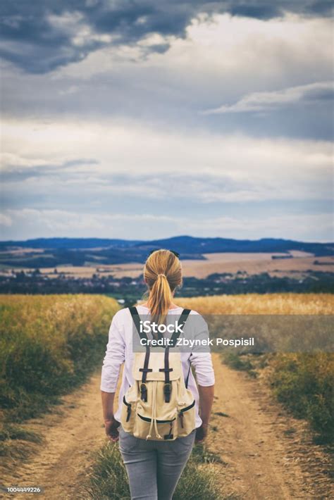 여름에는 자연 전원 풍경에 보기를 즐기는 배낭 여행자에서 하이킹 여자 비포장도로에 대한 스톡 사진 및 기타 이미지 비포장도로 오솔길 한 명의 여자만 Istock