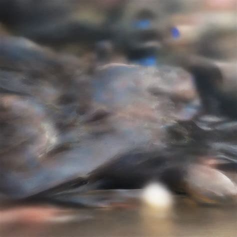 Understanding Introvert Characteristics