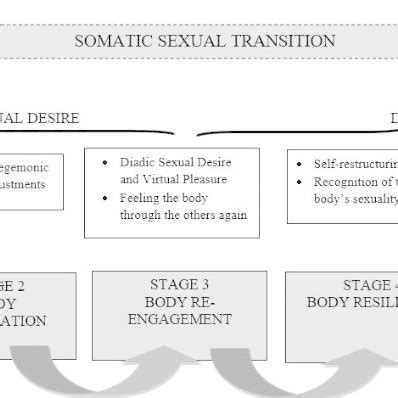 Representation Of The Somatic Sexual Transition Download Scientific Diagram