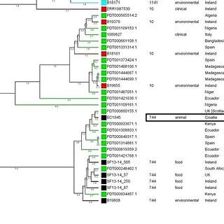 Dendrogram Showing Relationship Of Identified Strain To The Most Download Scientific Diagram