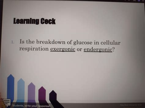 Yall Wish You Had My Ap Bio Class R Okbuddyhetero