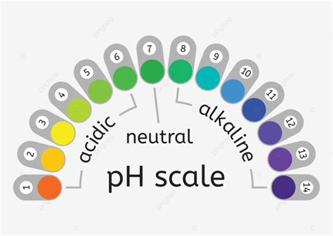 Escala De Ph Vetorial De ácido Png Água Vetor Experimentar Imagem