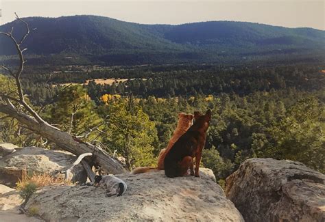 Bobcat Bite Bobcat Bite Added A New Photo