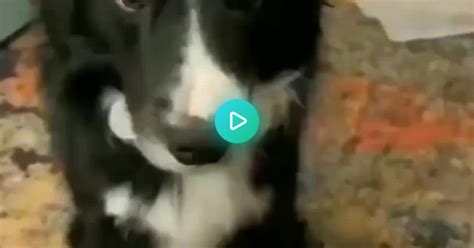 Cute And Naughty Album On Imgur Cute And Naughty Album On Imgur