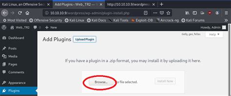 Create A Wordpress Webshell Plugin