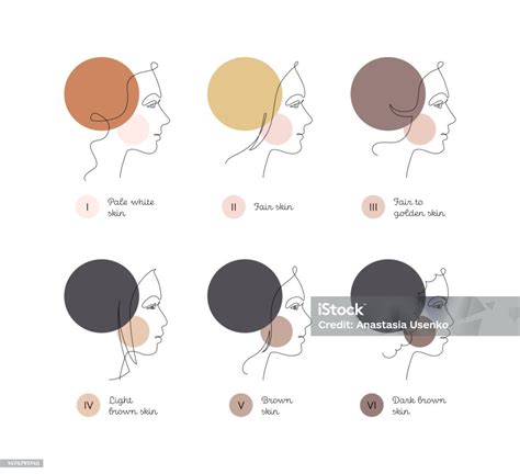 피부색과 민족 유형 인포 그래픽 벡터 한 줄 현대 그림 세트입니다 피츠패트릭 스케일 차트 흰색 배경에 격리된 색 기호를 가진 다른 민족의 여성 얼굴 아바타 다양에 대한 스톡
