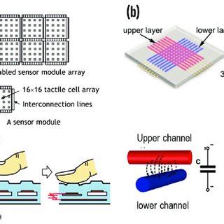 A Schematic Illustrating A Conventional Large Area Capacitive Array Download Scientific