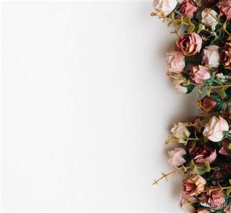 عکس بک گراند برای نوشته عکس نودی