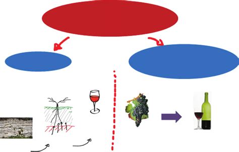 Didactic Representation Showing What Could Be At The Basis Of Download Scientific Diagram