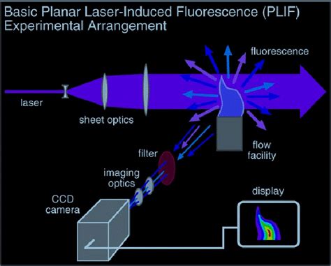 what is fluorescence visualization at alana mcgovern blog