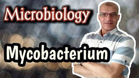 Mycobacterium Characteristics Types And Pathogenesis Microbiology Immune System