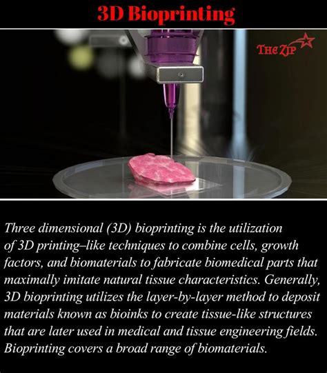 3d Bioprinting Creating Tissue Like Structures For Medical Advancements