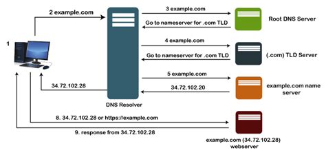 Dns Lookup Là Gì Những điều Cần Biết Về Dns Tin Tức Tên Miền Hosting