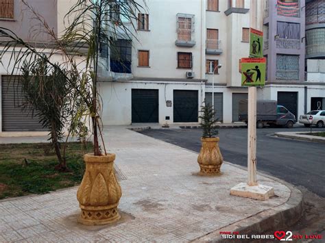 حي نظيف سيدي بلعباس أجمل