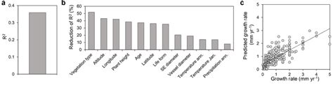 Employment Of An Artificial Neural Network To Predict Stem Diameter Download Scientific Diagram