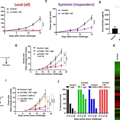 A Case Of Skin Cancer Responsive To Triple Combination Treatment Of Download Scientific Diagram
