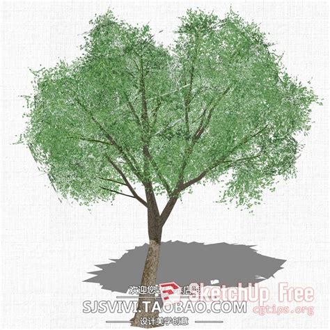 968 Tree Sketchup Model Free Download 968 Tree Sketchup Model Free Download