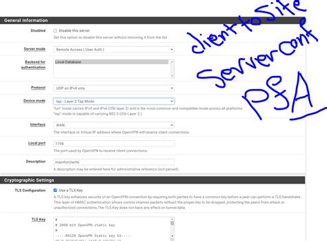 How To Layer OpenVPN Site To Site Setup Netgate Forum