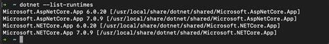 C How To Install Multiple Dotnet Versions Using Brew Stack Overflow