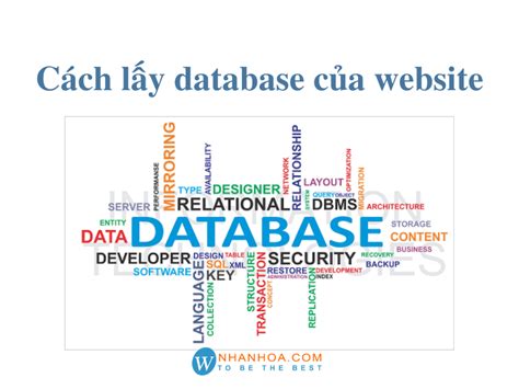 Cách Lấy Database Của Website Hướng Dẫn Tự Backup
